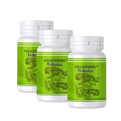 Cina Supplemento dietetico Salute naturale Pillole di bellezza Tribulus Terrestris Capsule Purezza 95% 90-count in vendita