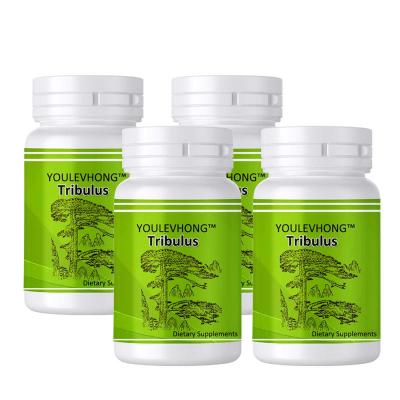 Cina Supplemento dietetico Salute naturale Pillole di bellezza Tribulus Terrestris Capsule Purezza 95% 90-count in vendita