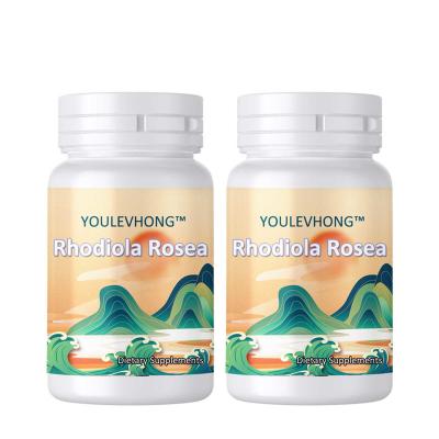 China 60 Capsules of Rhodiola Rosea Supplements for Improved Stress Management for sale