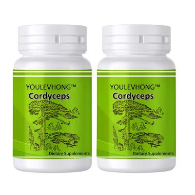 China Natural Health Products Dairy-Free Cordyceps Supplement for Immune System Support for sale