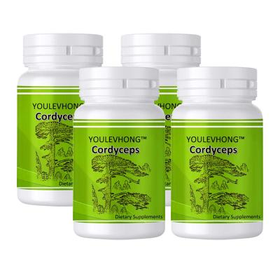 China Natural Health Products Dairy-Free Cordyceps Supplement for Immune System Support for sale