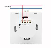 China Glomarket Tuya Eu Standard Zigbee Dimmer Switch Smart Google Alexa Voice Control Remote Wall Wireless Switch for sale