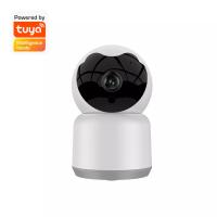 China 2MP / 3MP HD Two Way Audio Camera Automatic Tracking Remote Control PTZ Security Camera for sale