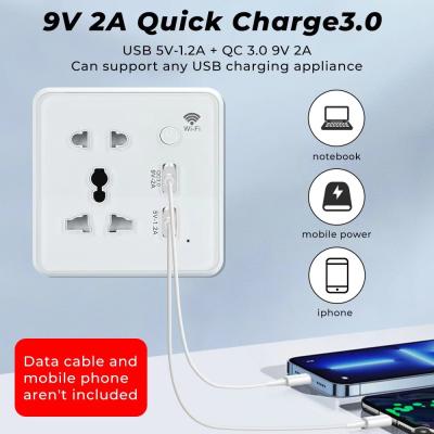 China Smart Power Home Tuya 13A Outlet Wifi Universal Wall Plug With USB Grass Panel for sale