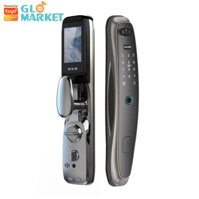中国 スマートなTuya Wifiのドア ロック亜鉛合金のキャッツ・アイの理性的なドア ロック 販売のため