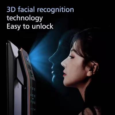 Cina Materiali di alta qualità per il riconoscimento facciale, lucchetto ad impronte digitali intelligente in vendita