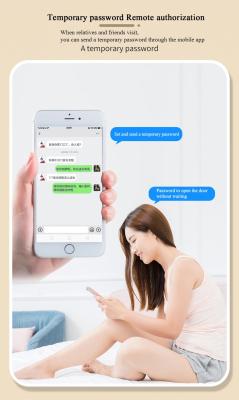 Cina Glomarket Smart Tuya Waterproof Door Lock Sliding Door Fingerprint Password Remote Control Handle Electronic Intelligent Lock in vendita