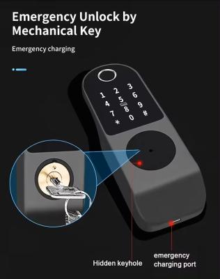 Cina Glomarket Tuya Impermeabile Digitale TTLock Sblocco remoto Sblocco intelligente a doppia facciata con impronta digitale in vendita