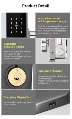 Cina Glomarket Tuya Impermeabile Digitale TTLock Sblocco remoto Sblocco intelligente a doppia facciata con impronta digitale in vendita