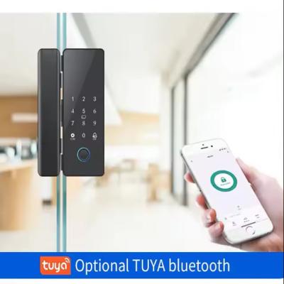 China Glomarket Tuya Smart Glass Door Lock Biometrische vingerafdruk BLE Smart Electronic Lock Voor kantoor Glasdeur Te koop