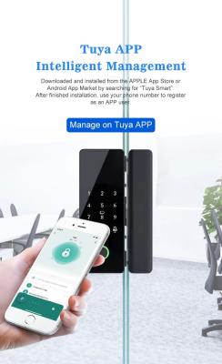 China Glomarket Tuya Smart Glass Door Lock Biometrische vingerafdruk BLE Smart Electronic Lock Voor kantoor Glasdeur Te koop