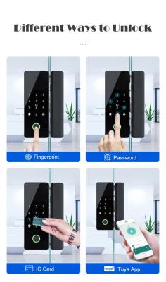 China Glomarket Tuya Smart Glass Door Lock Biometrische vingerafdruk BLE Smart Electronic Lock Voor kantoor Glasdeur Te koop