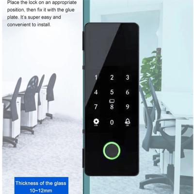 China Glomarket Tuya Smart Glass Door Lock Biometrische vingerafdruk BLE Smart Electronic Lock Voor kantoor Glasdeur Te koop