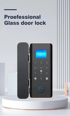 China Glomarket Smart Glass Door Lock Wifi Remote Control Tuya app Office Lock Card Digital Biometric Fingerprint Door Lock for sale