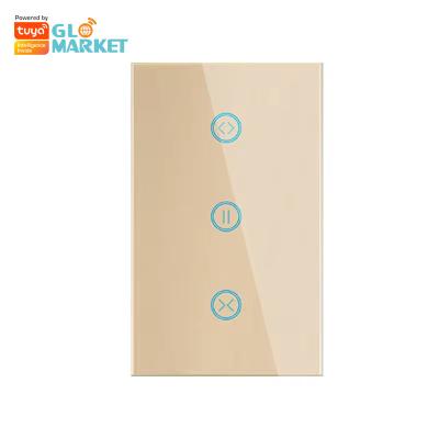 Cina Glomarket Wifi Smart Tuya Alexa Google Home Controllo vocale Garage Door Opener Remote Rolling Smart Life Switch elettrico in vendita