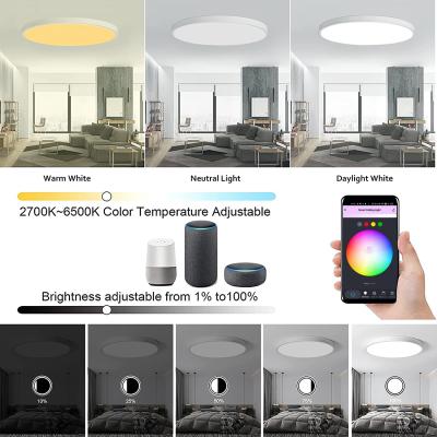 China 24w Tuya Smart Ceiling Light Colorful Rgb Remote Control Smart Light Led Modern Style Music Ceiling Lamb for sale