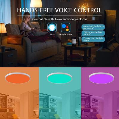 China 24w Tuya Smart Ceiling Light Colorful Rgb Remote Control Smart Light Led Modern Style Music Ceiling Lamb for sale