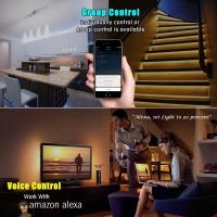 China Glomarket Smart WiFi  Wall Socket with USB 2 plug outlets Remote Control Smart Life/Tuya APP Remote Timer Setting for sale