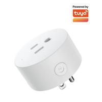China Tuya 240V 10A Smart Plug Socket Support Google Echo Amazon Alexa for sale