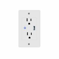 China AC Wifi 120V Outlet 10A Google Assistant Smart Plug Socket ZigBee for sale