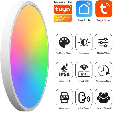 China música moderna conduzida de controle remoto colorida do Rgb da luz de teto de 24w Tuya Smart à venda