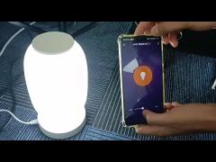 Lanterna inteligente Candeeiro de mesa decorativo Tuya APP Alexa Google Smart WiFi LED luz