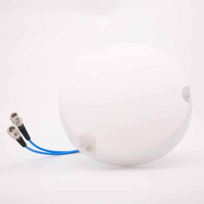 698-3800 MHz 153 Dbc 5dBi N Female MIMO Omni Indoor Antenna Factory Price