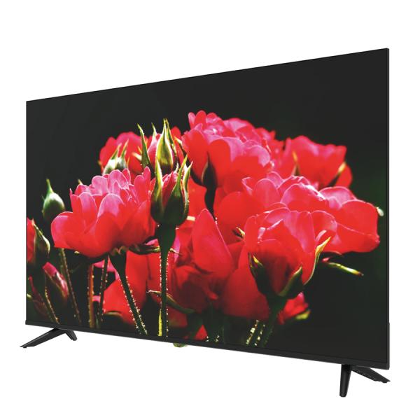 Quality Dynamic 55 Inch Google 4K OLED TV Flat Panel HDR Smart With 120HZ Refresh Rate for sale