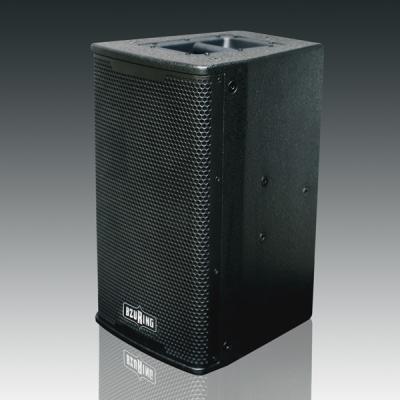 Cina Audio sistema acustico della fase di concerto in tensione a 10 pollici bidirezionale con la pro scatola di Aduio di frequenza 55Hz-20KHz in vendita