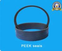 China Antirust PEEK Seal Ring Big Diameter Plastic Injection Mold Components 260C for sale