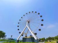 Quality Customized Herringbone Ferris Big Wheel Fairground Ride For Luna Park 120 for sale