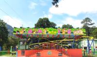 Quality 10 Seat Jungle Amusement Park Coaster Roller Ride For Kids Anti Corrosion 15KW for sale