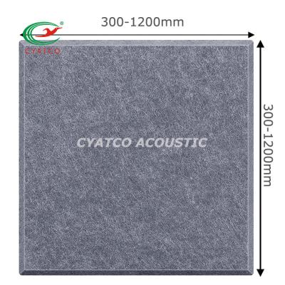 中国 CYATCO 12