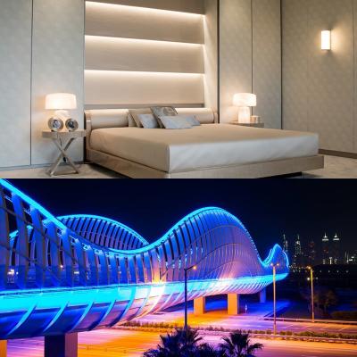 中国 120LED ディムブル LED ストライプ 6000K リモコン付きディムブル LEDロープライト 販売のため