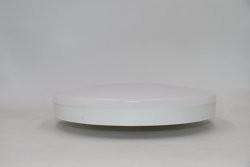 中国 15W 28W 丸いセンサー 天井照明 IP54 暗調可動 動作活性化 天井照明 販売のため