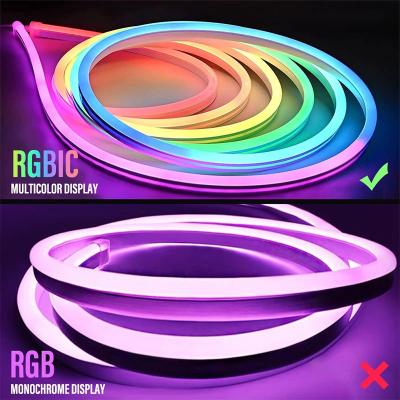 Cina Bluetooth Tuya Strip LED dimmabile 2000mm 3000mm Led Neon Flex RGB in vendita