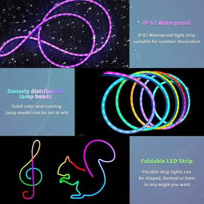 Cina Bluetooth Tuya Strip LED dimmabile 2000mm 3000mm Led Neon Flex RGB in vendita
