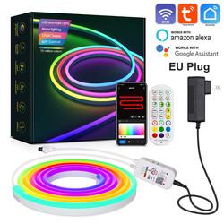 Cina Bluetooth Tuya Strip LED dimmabile 2000mm 3000mm Led Neon Flex RGB in vendita