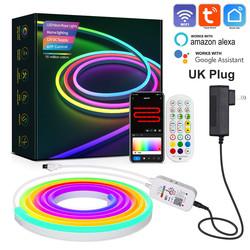 Cina Bluetooth Tuya Strip LED dimmabile 2000mm 3000mm Led Neon Flex RGB in vendita