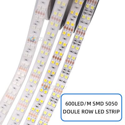 Cina 5000mm 600 Led Ribbon Strip 2 Row SMD5050 Rgbw Led Tape in vendita