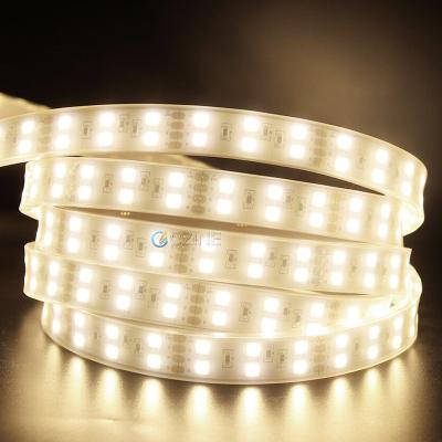 Cina 5000mm 600 Led Ribbon Strip 2 Row SMD5050 Rgbw Led Tape in vendita