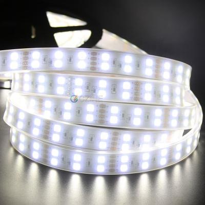 Cina 5000mm 600 Led Ribbon Strip 2 Row SMD5050 Rgbw Led Tape in vendita