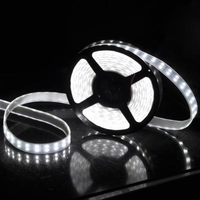 Cina 12V 5050 LED a striscia dimmabile doppia fila 120 perline bassa pressione in vendita