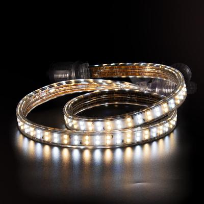 Cina IP68 6500K LED Rope Light Bianco E Caldo Bianco LED Strip Lampade Per soffitto in vendita