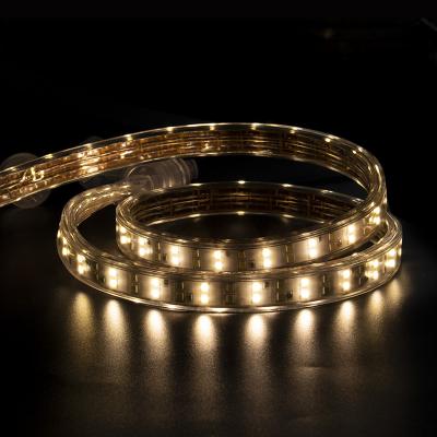 Cina IP68 6500K LED Rope Light Bianco E Caldo Bianco LED Strip Lampade Per soffitto in vendita