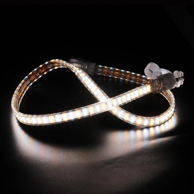 Cina IP68 6500K LED Rope Light Bianco E Caldo Bianco LED Strip Lampade Per soffitto in vendita