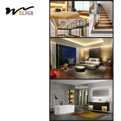 Cina 5V - 24V Controller di luce wireless LED Strip Light Parts Chasing Led Controller in vendita