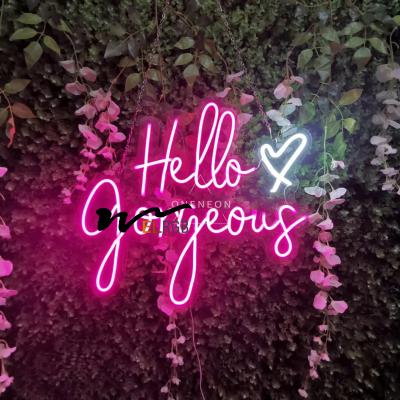 China 12V Neon Sign Acrílico LED Luces decorativas 6000k Plexiglás Signos de Neón en venta
