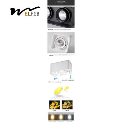 Cina 25w 30w Quadratura di luce a LED Riflettore di lavoro all'interno Luce senza taglio COB Superficie montata in vendita
