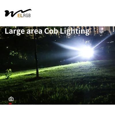 Cina 2000lm COB Led Work Light Outdoor Working Light Rechargeable Cob Work Light Lumiera di lavoro a LED in vendita